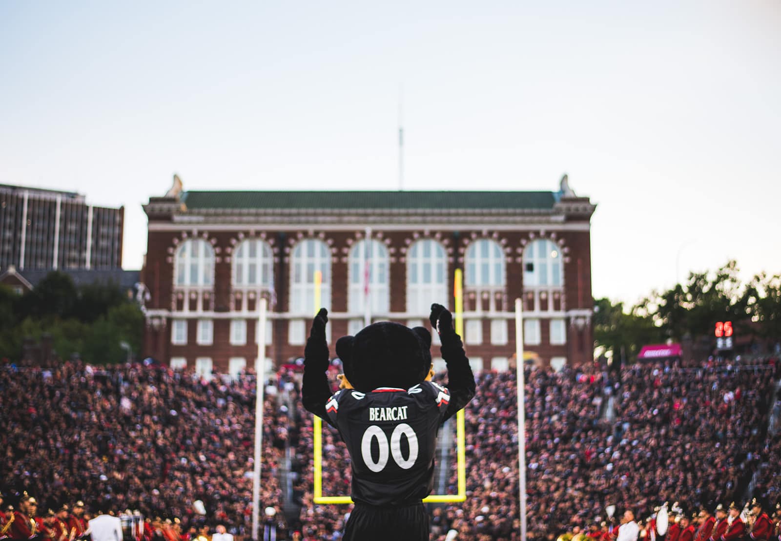 Sports Portfolio | Rooted Creative