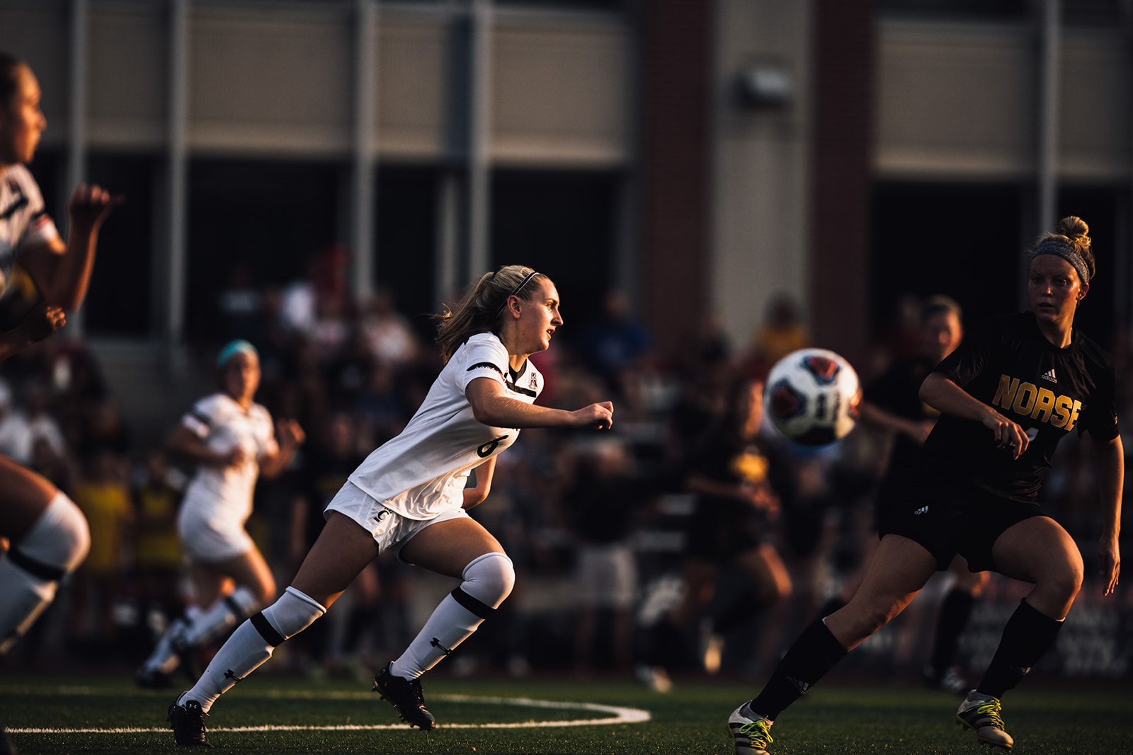 Sports Portfolio | Rooted Creative